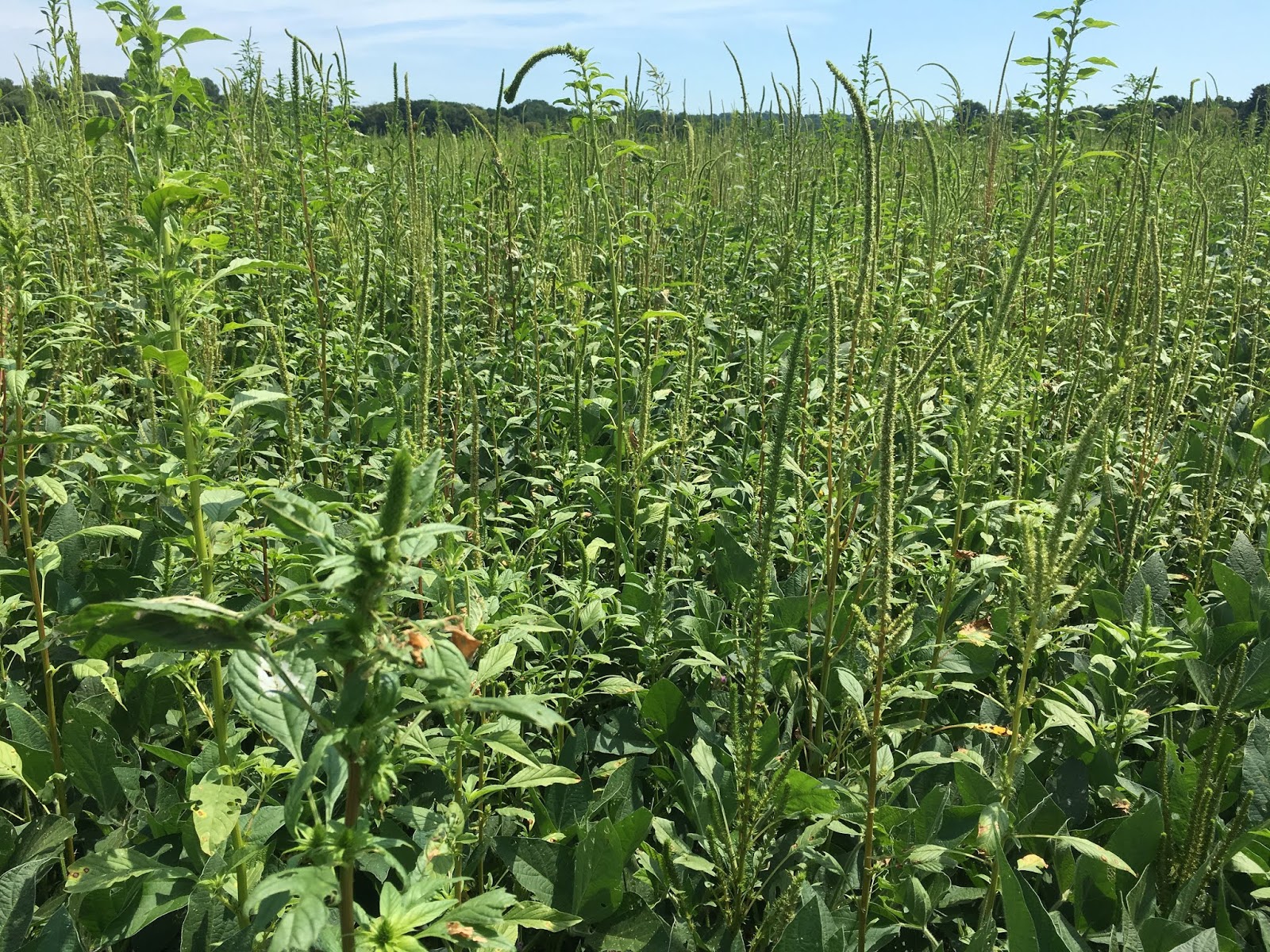 Waiting for Spring? There is plenty of time to learn more about Palmer ...