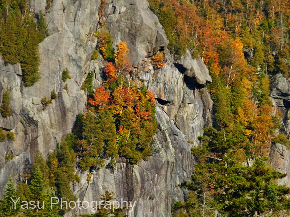 Still Alive In The Mohawk Valley, NY: The Enchanting Skylight Mountain ...