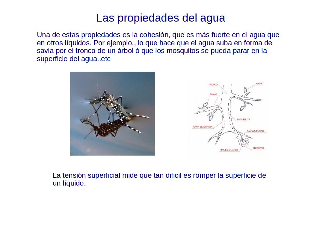 Café y Biología: Lección 2 Propiedades del agua