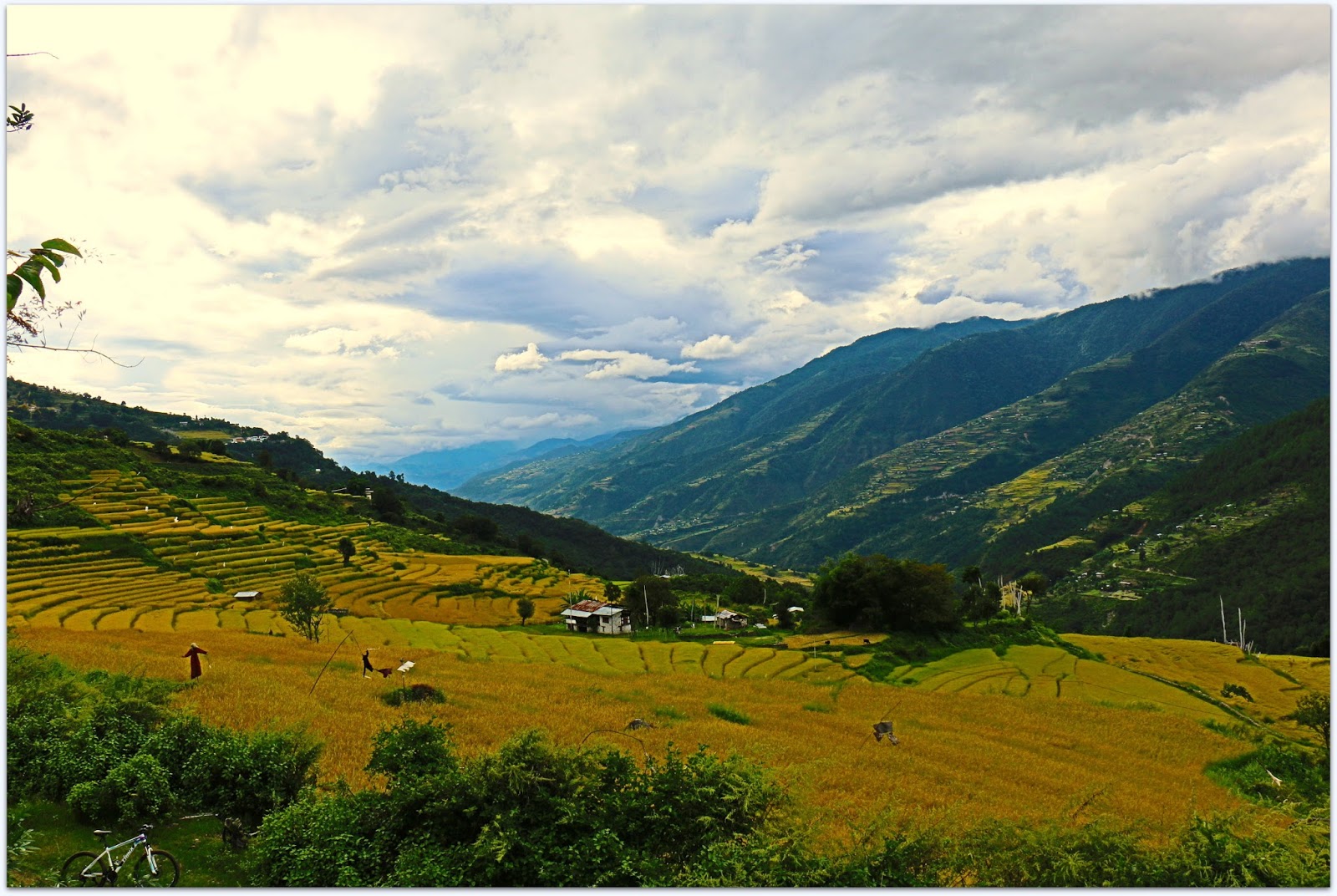 My random thoughts...: How to reach Merak valley under Sakteng Wildlife ...