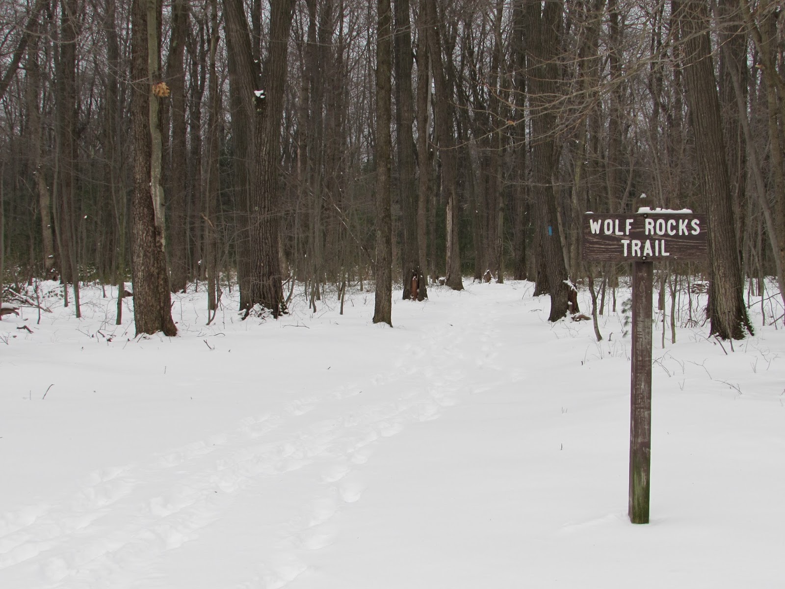 Wolf Rocks and Beam Rocks Overlook Hikes, Forbes State Forest, Somerset ...