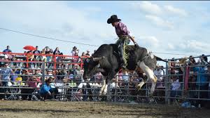 Jaripeo: reglas del jaripeo