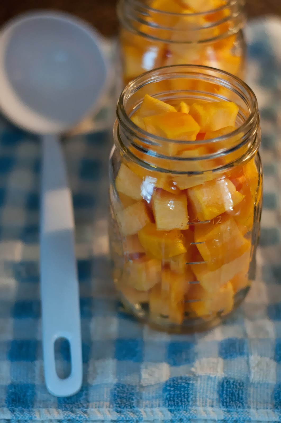 Robson's Farm: Pickled Pumpkin