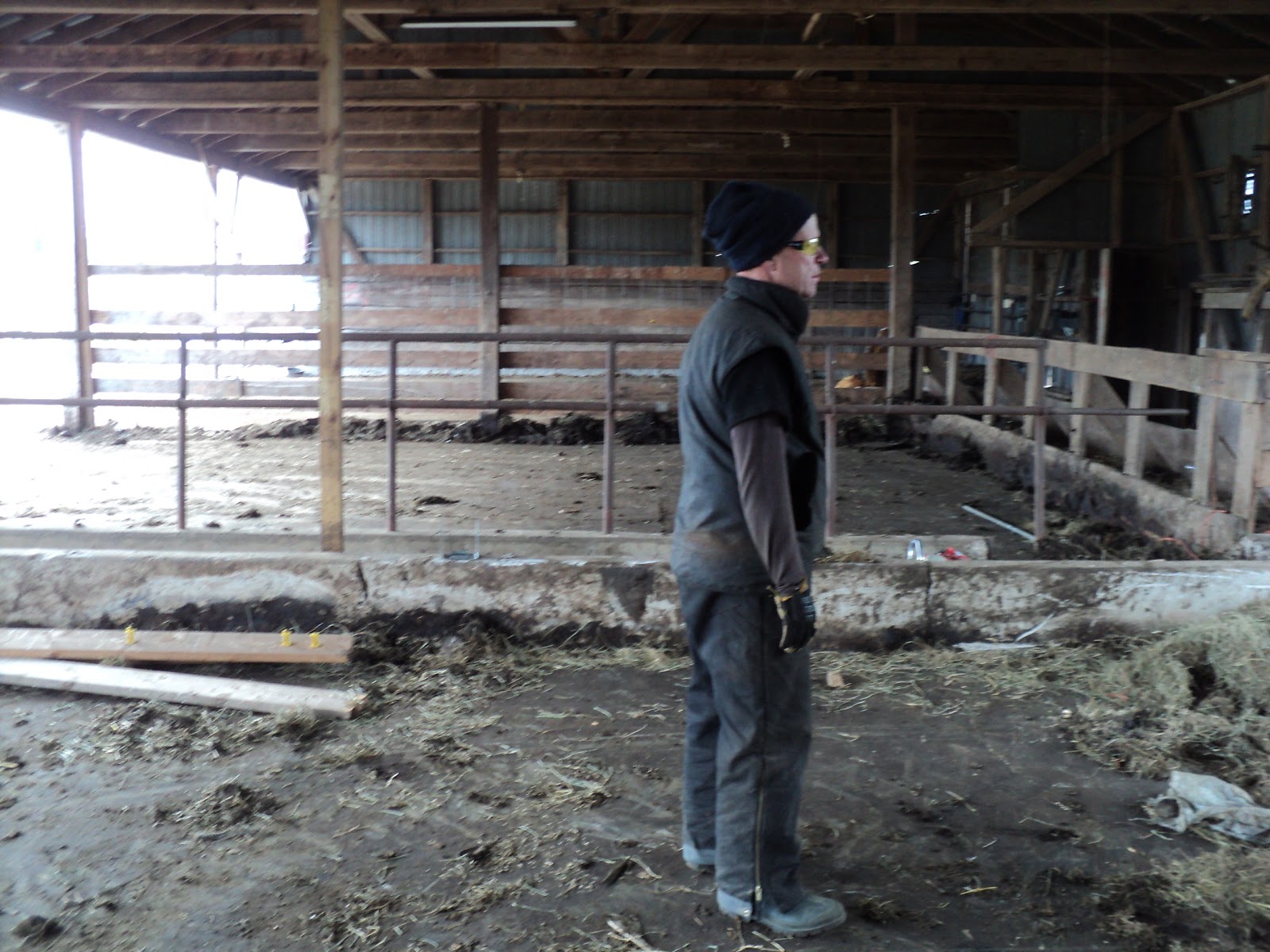 Making the Winter Cow Barn Comfy | Gita Nagari Yoga Farm