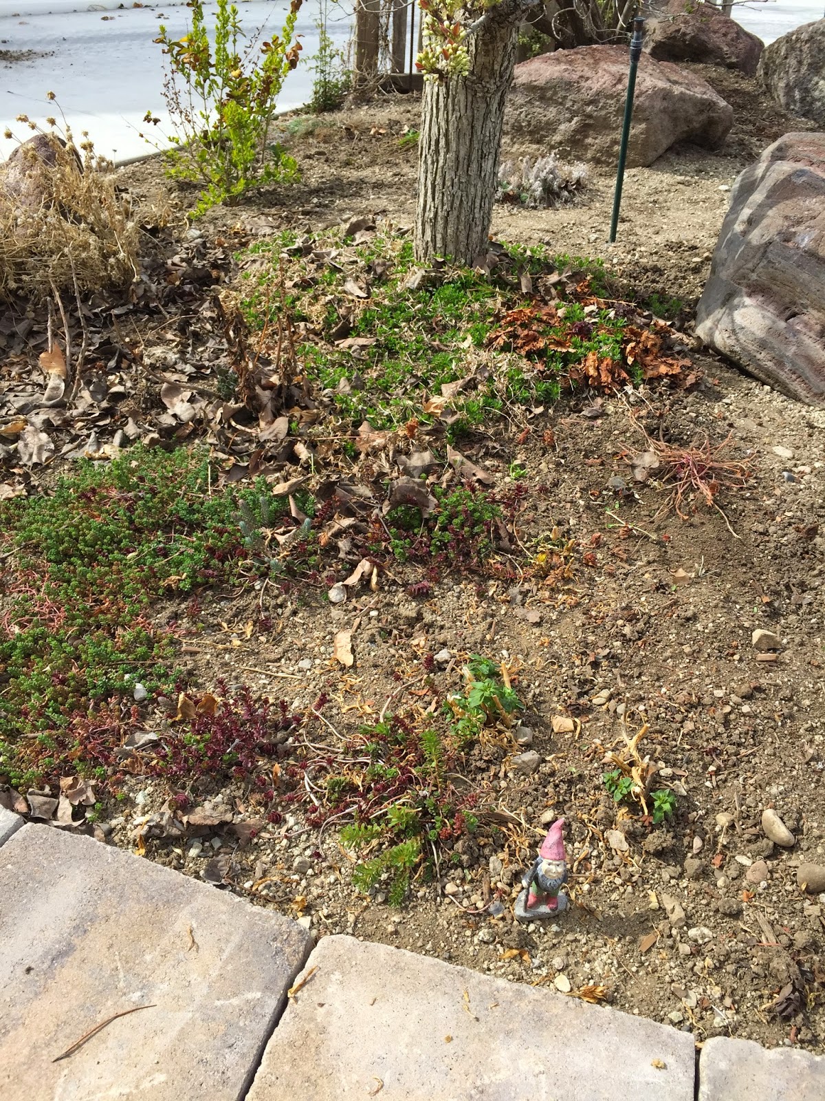 Time of Our Lives: Spring Yard Clean-up and Projects