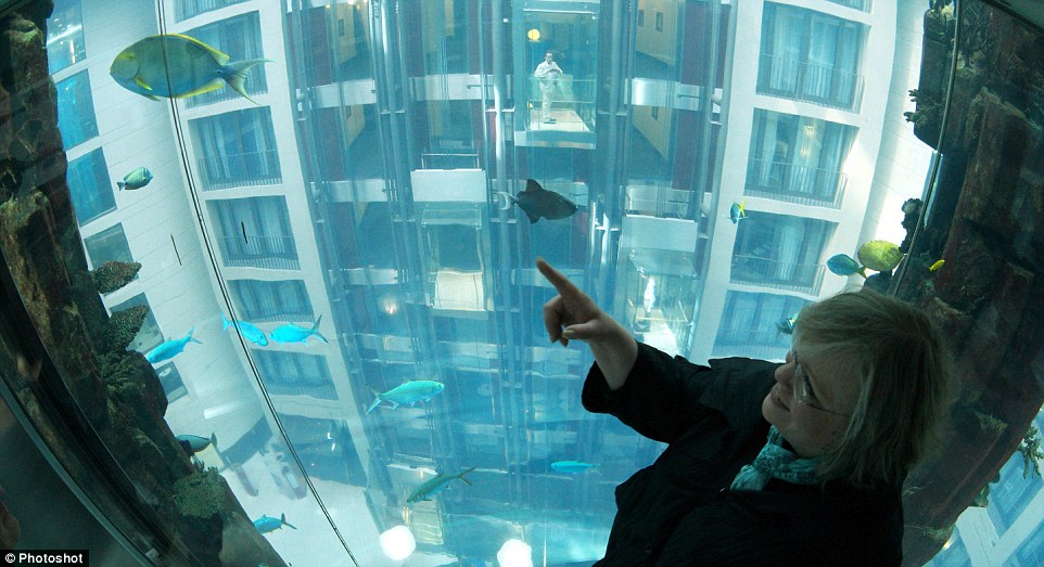 The incredible 82ft-tall hotel aquarium in Berlin that has an elevator ...
