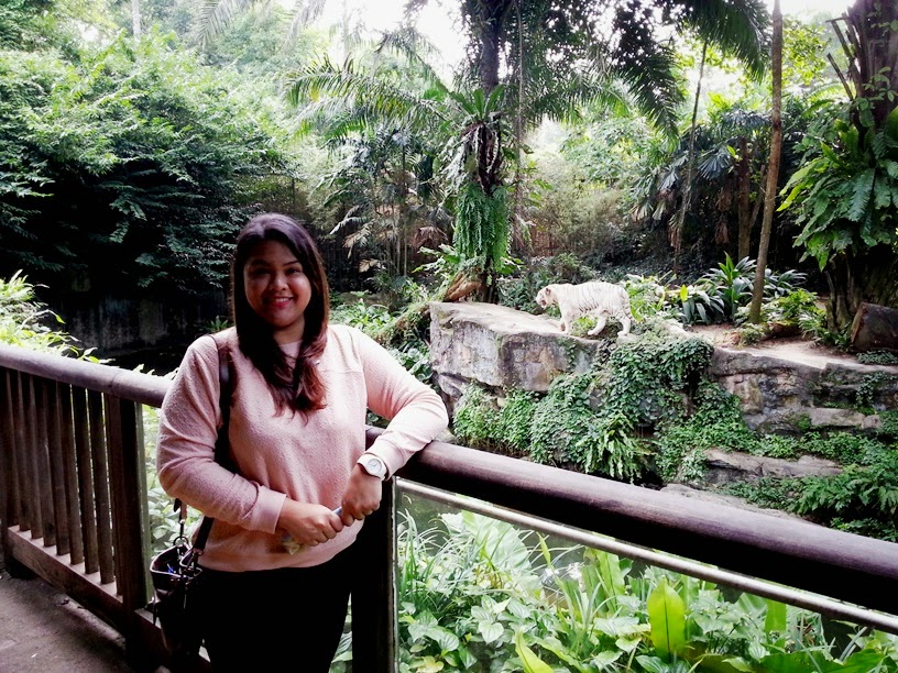 CTM's Digital Diary: Singapore Zoo & S.E.A Aquarium, Sentosa Island