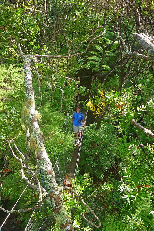 The Adventures of S/V Silhouette: Time Out for Great Barrier Island