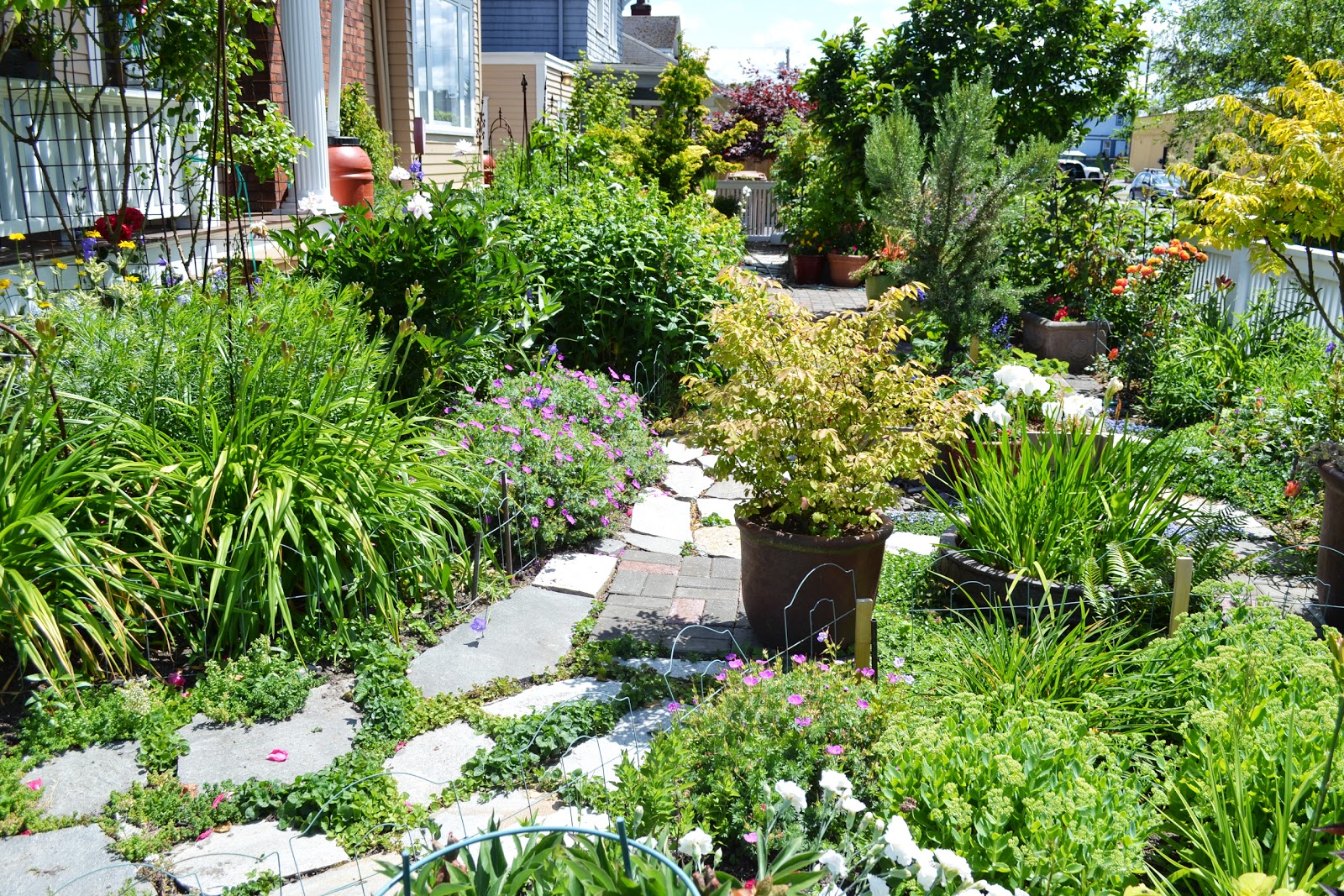 The Outlaw Gardener: Char's Garden: A quick walk by.