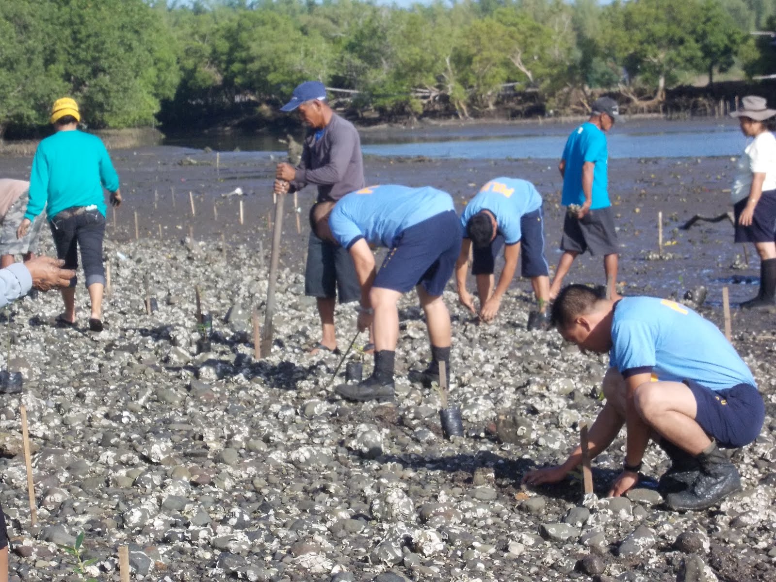 Banate-Barotac Bay Resource Management Council, Inc.