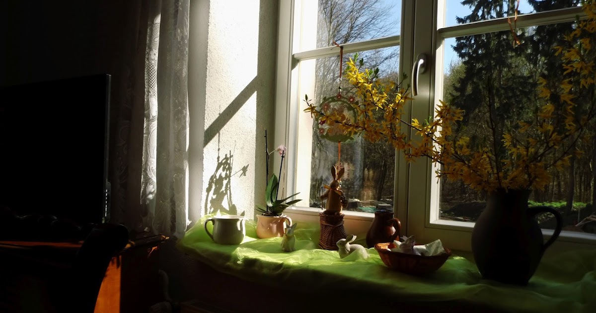 Martin in Broda: Sonntag