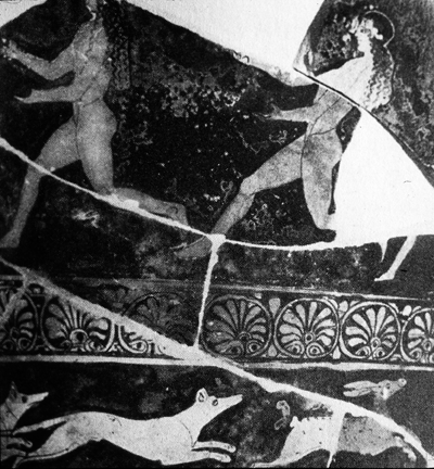 Hortus Hesperidum / Ὁ κῆπος Ἑσπερίδων: Ártemis Brauronia. Arkteia