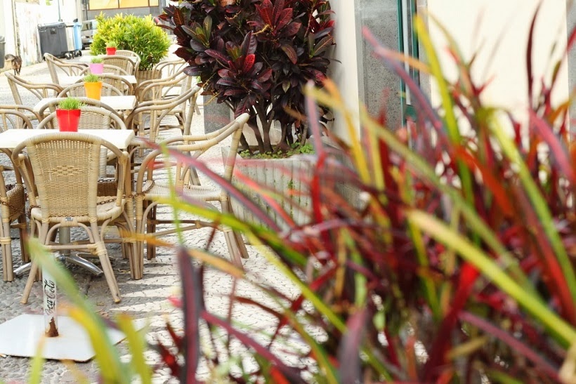 Madeira in January and New Year on Wander with Laura