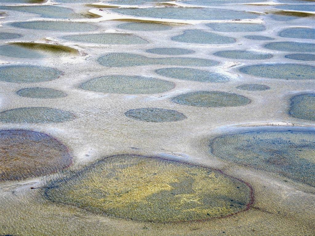 The Spotted Lake of Osoyoos ~ Kuriositas