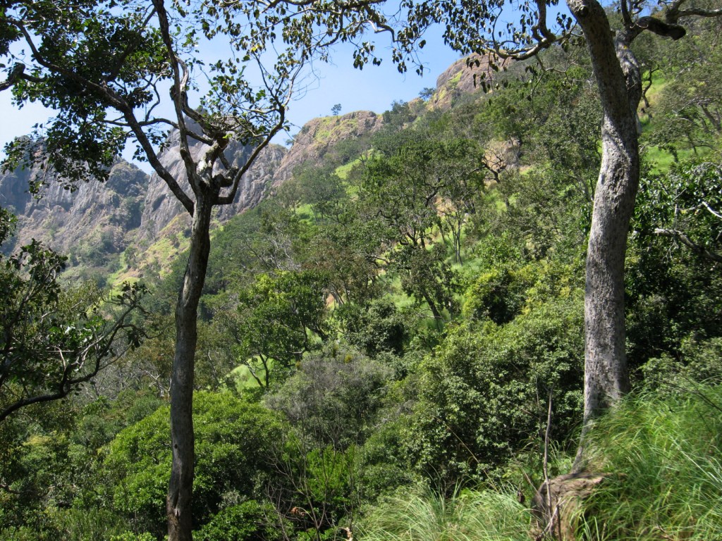 Tamilnadu Tourism: Muthaliar Oothu, Shenbagathoppu, Srivilliputhur ...