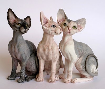 Tahukah Kalian Tentang Kucing Sphinx, Si Kucing Tanpa Rambut - Asiknya ...