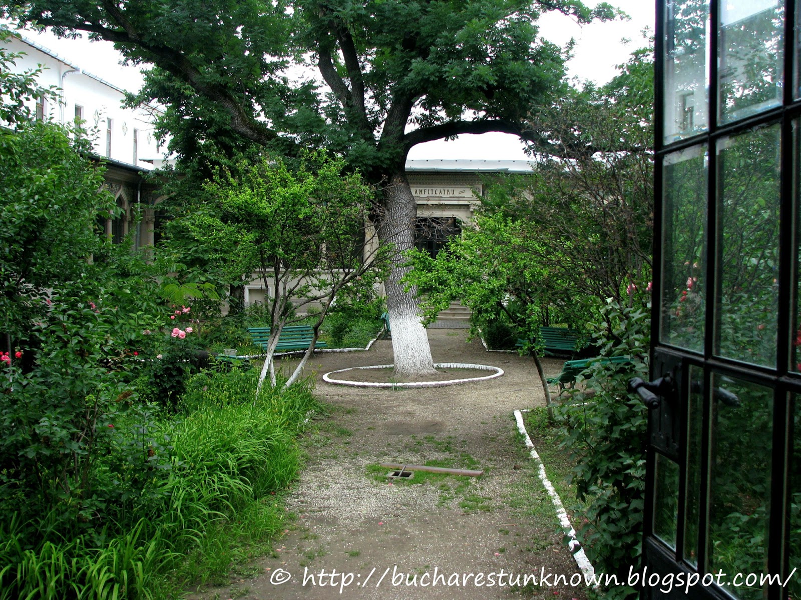 Unknown Bucharest: 2011