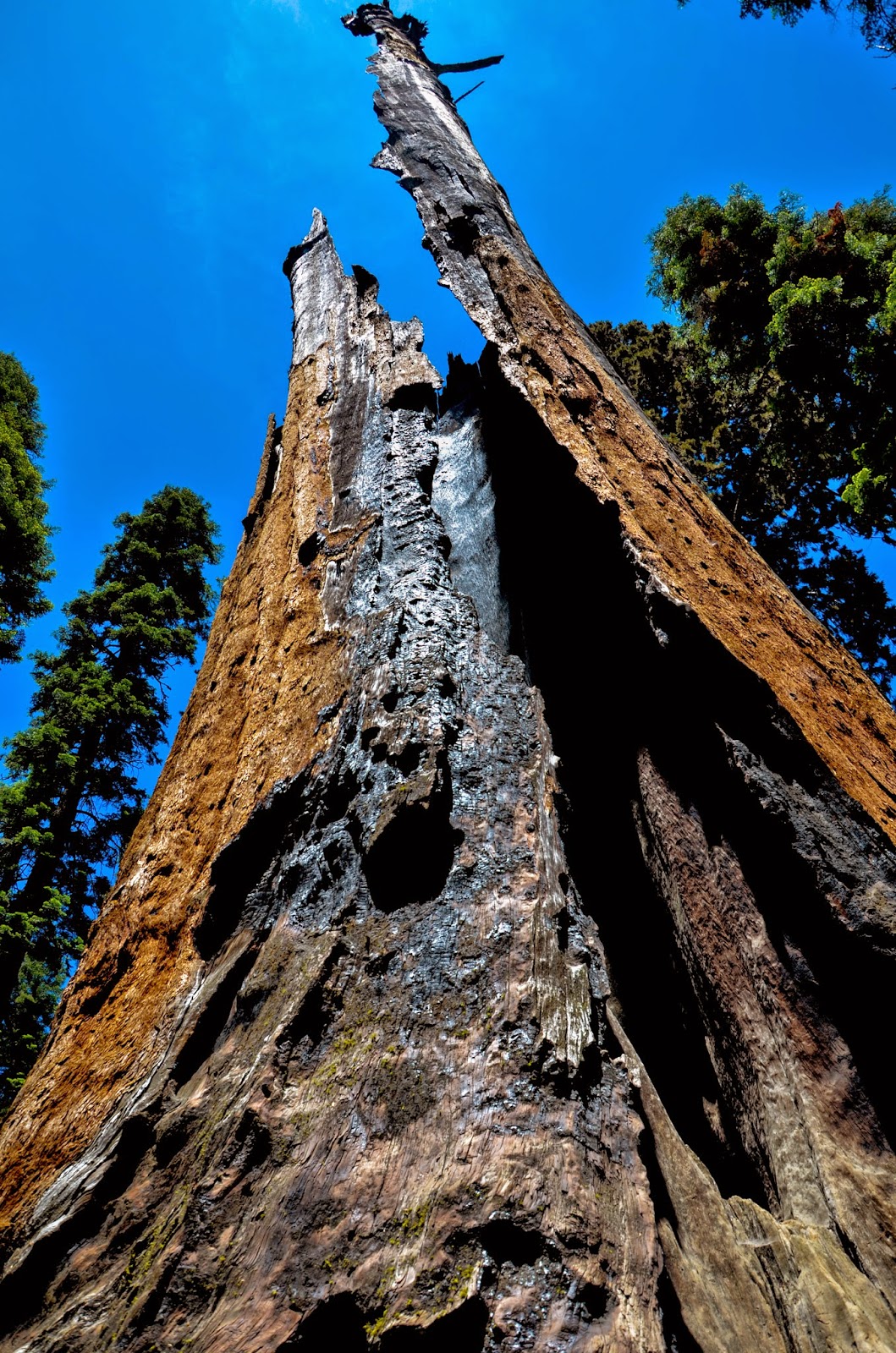 Stars and Stripes, USA