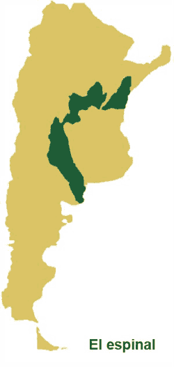 Viajar es Vivir: Ubicación geográfica y clima; Espinal