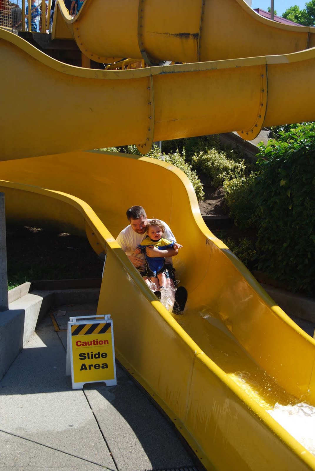 Still Life With Books: August 2011