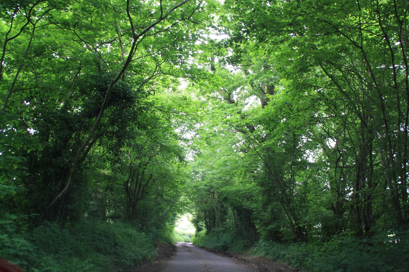 Austenised: My Pilgrimage to Steventon - "The Cradle of Jane Austen's ...