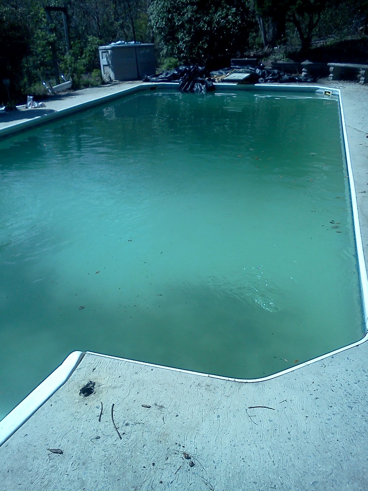Home DIY Projects: How to Open Your Inground Pool