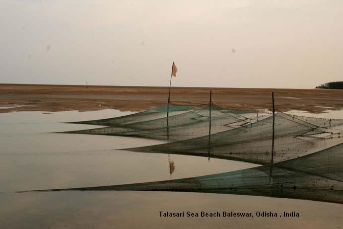 Talasari - JungleKey.in Image