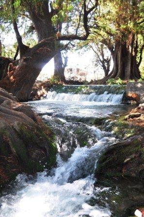 GOBIERNO DE LA CIUDAD DE JIUTEPEC RECORRIDOS TURÍSTICOS - TIJUANA NOTICIAS