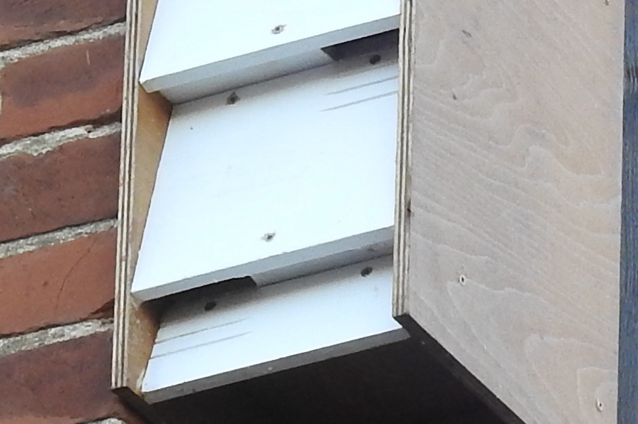 Action for Swifts: A New colony box in Magrath Avenue
