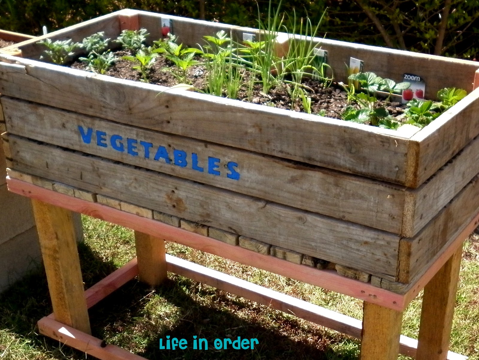 Life in Order: DIY: Make a Vegie Patch!