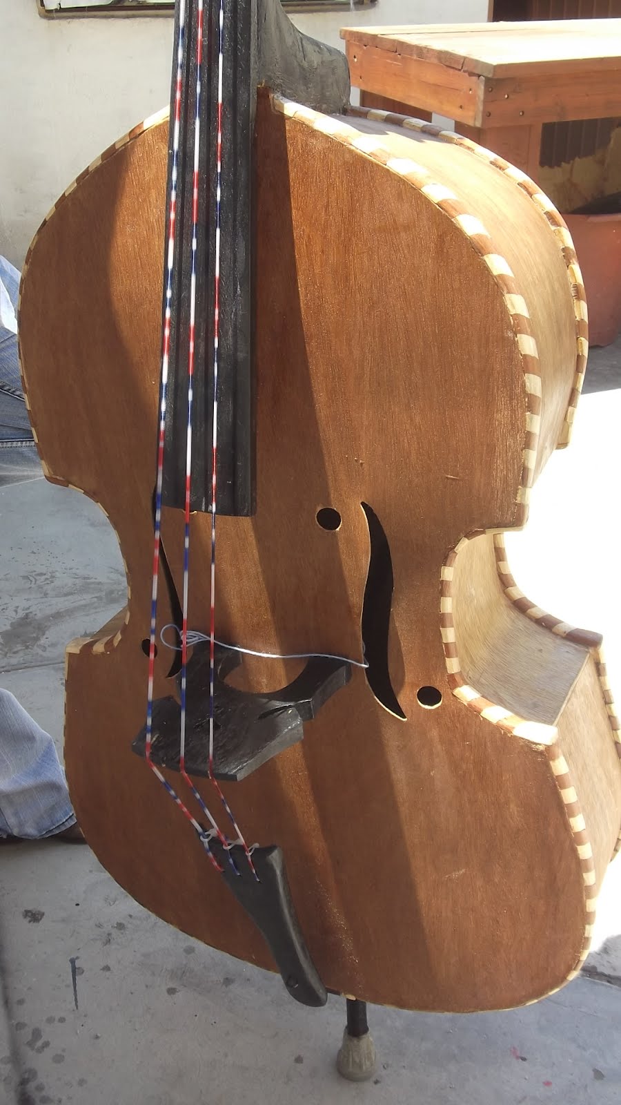 investigacion de contrabajos electricos: tololoches