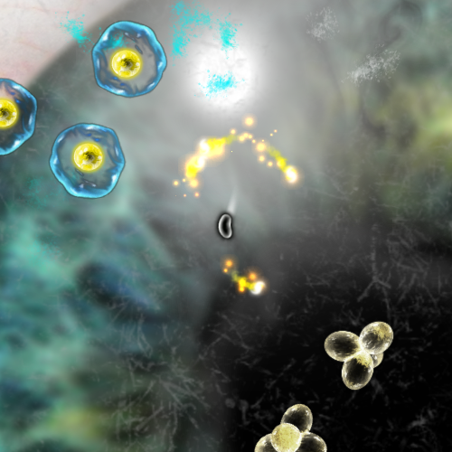 Bacterias Actuaciencia: Syndemic, el juego de las bacterias simbióticas