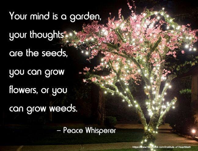 YOUR MIND IS A GARDEN, YOUR THOUGHTS ARE THE SEEDS, YOU CAN GROW ...