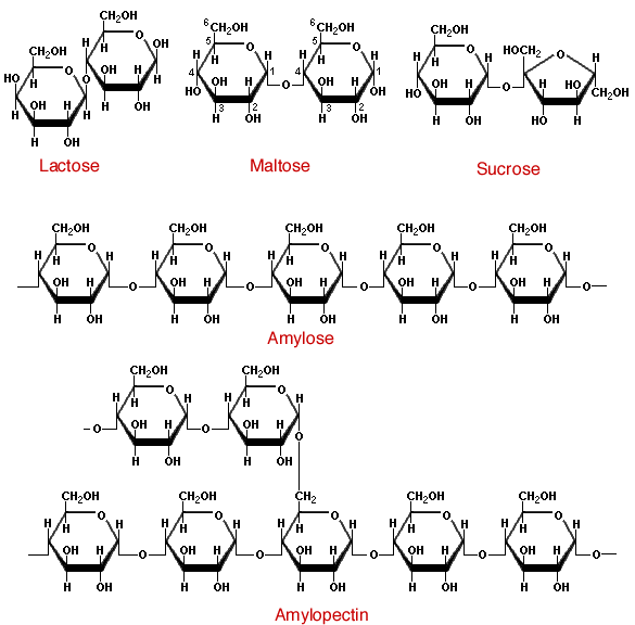 The world of science