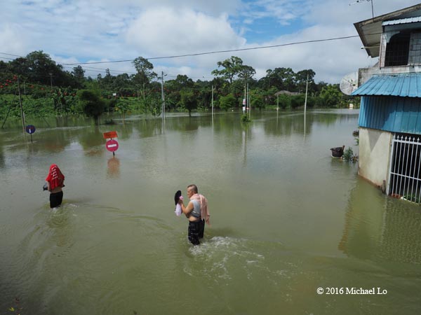 The rainforests of Borneo & Southeast Asia: The flooded southern Sarawak