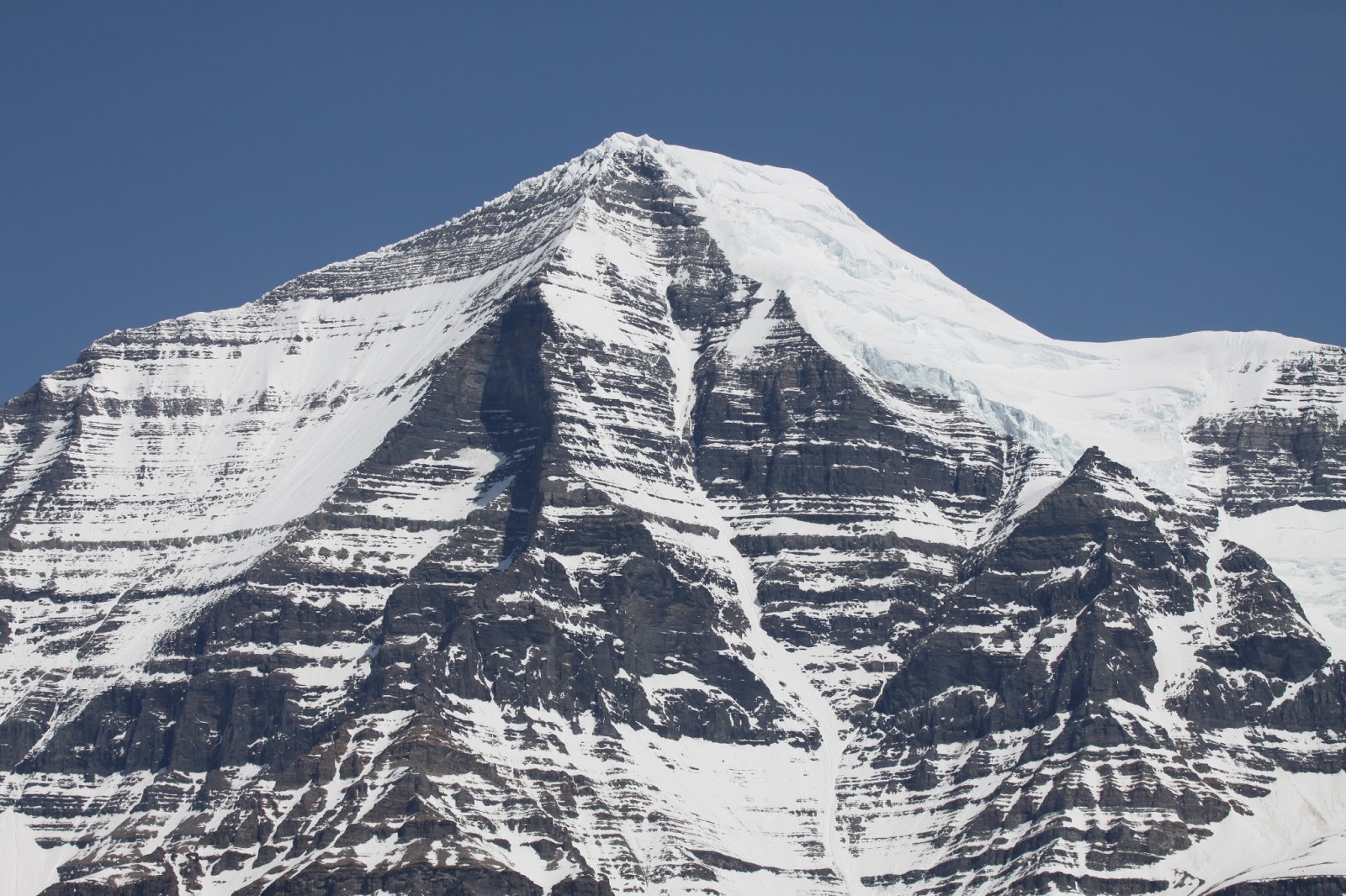 Ashford Birder's Blog: Oh Canada Eh - Part 6 - Mount Robson & Clearwater.