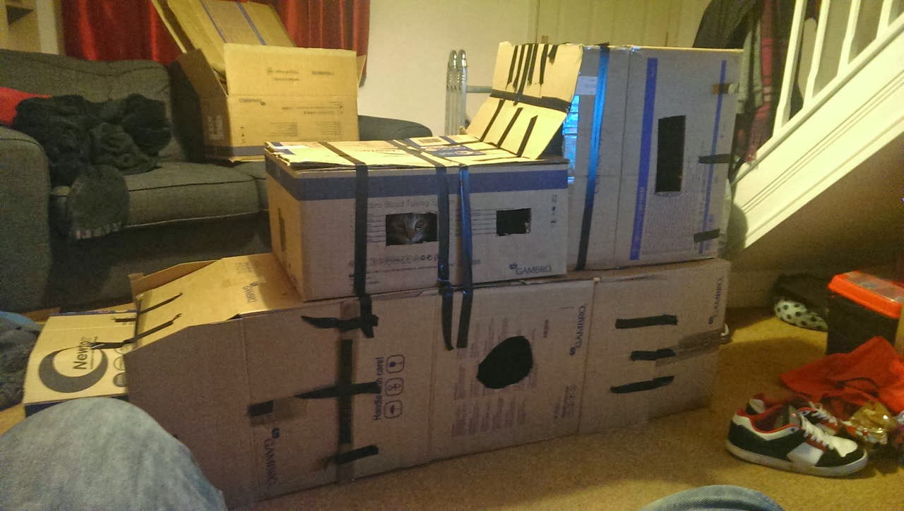 Funny cats - part 90 (40 pics + 10 gifs) | Amazing Creatures