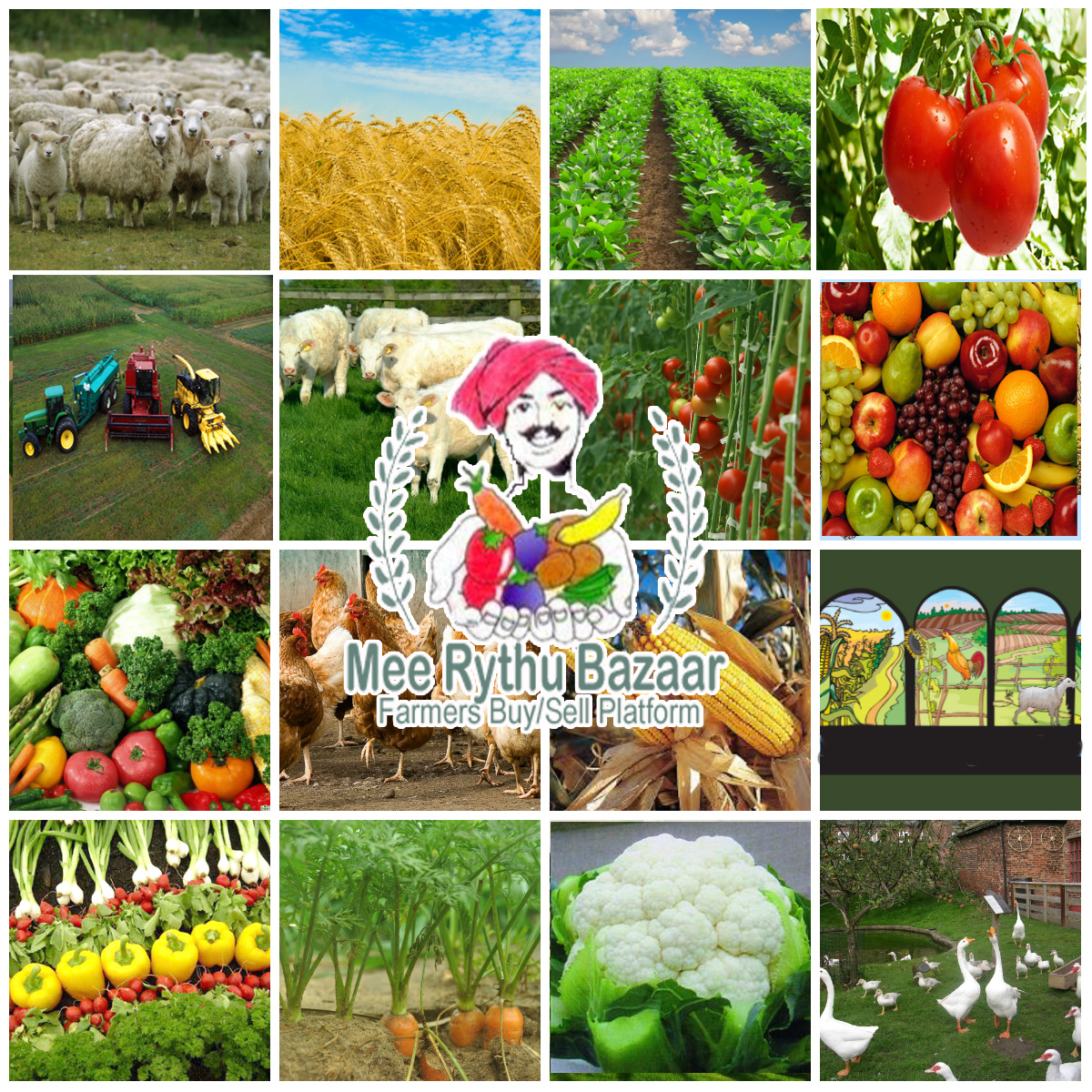 Farmers Buy/Sell Platform Farmers Trading Platform