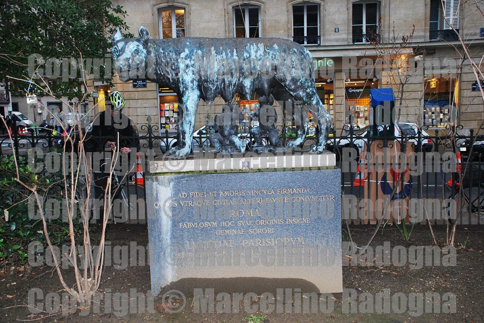 Marcellino Radogna - Fotonotizie per la stampa: Lupa Capitolina simbolo ...