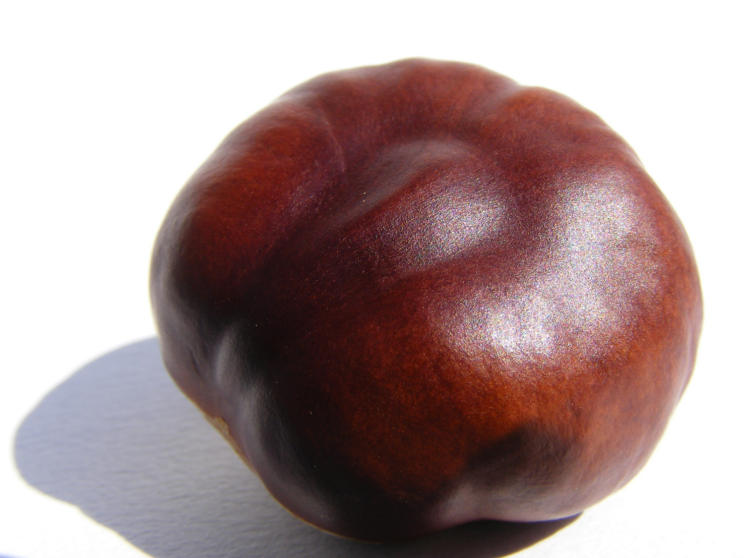 Le blog de Papa Hérisson: 50 nuances de marron