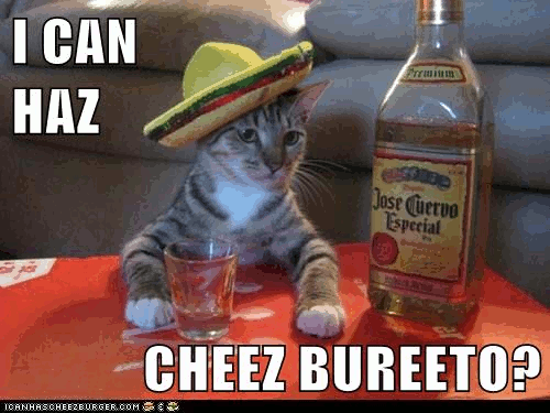 Grammar Catz: Grammar Cat #122: Burrito Cat