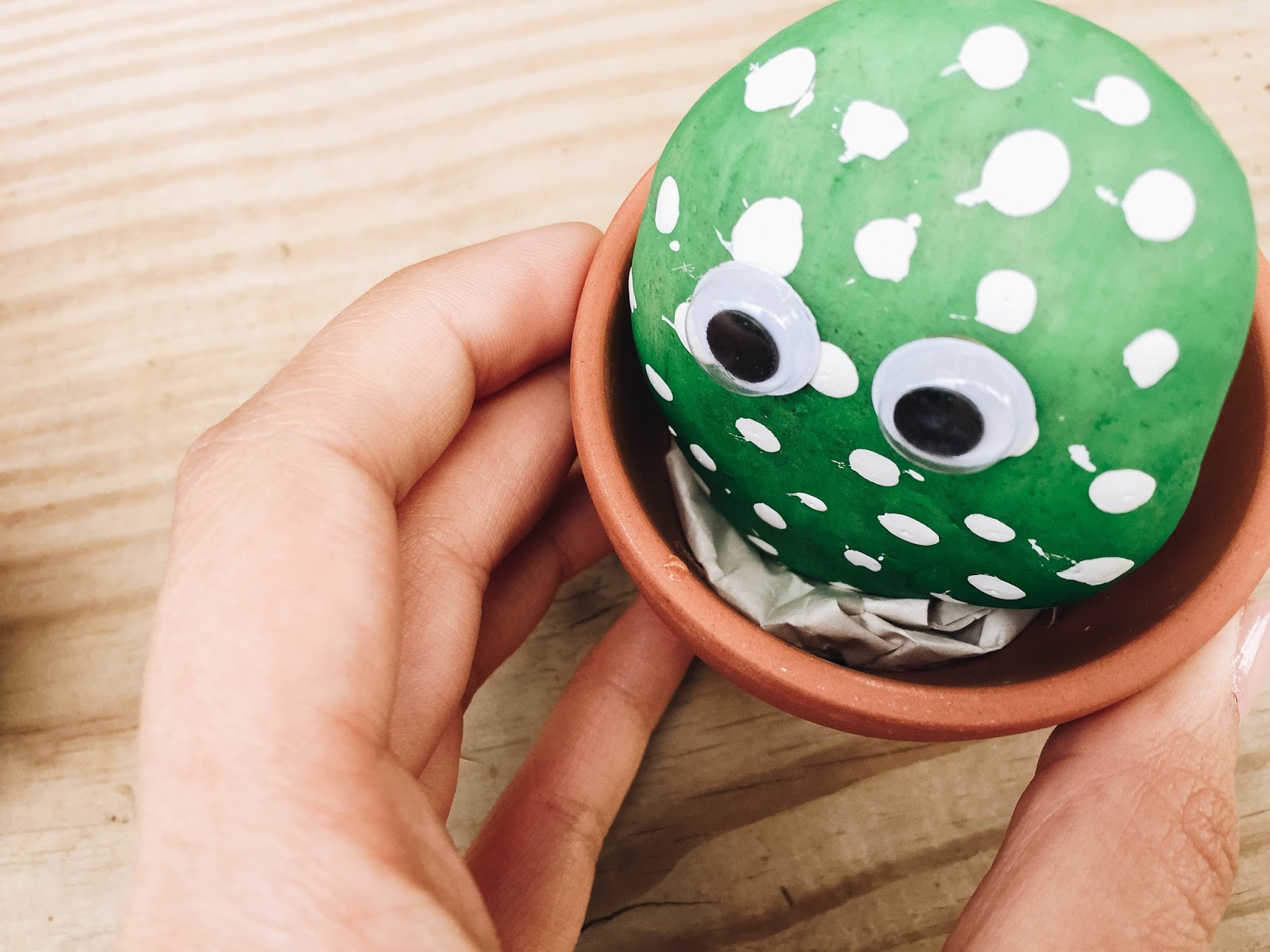 DIY Cactus Rock Pets