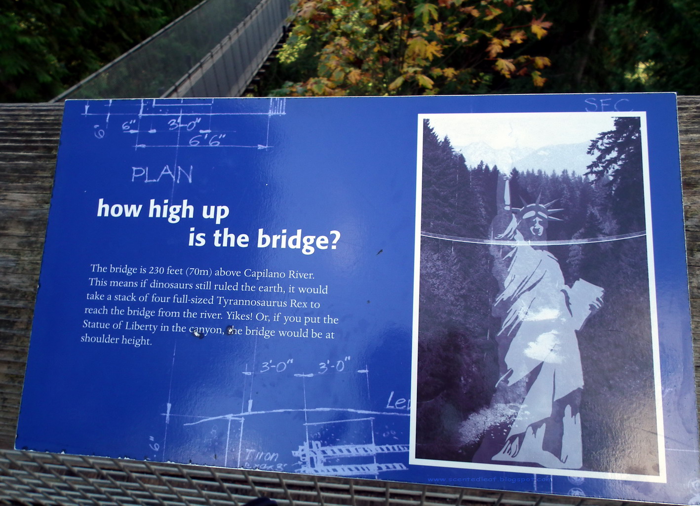 Capilano Suspension Bridge Video at Victoria Horton blog