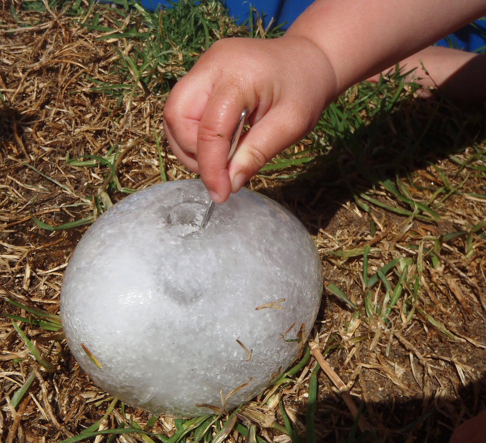 A Little Learning For Two: Ice Eggs