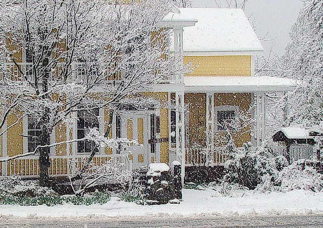 LTB Home Page: The Shannon Knox House