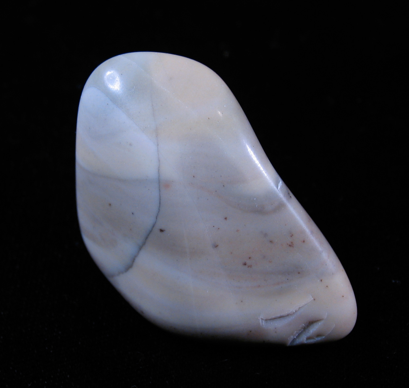 Louisville Fossils and Beyond: Archean Polished Butterstone