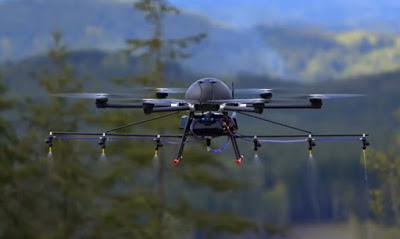 Practical Applications of Drone Technology in Forest Management ...