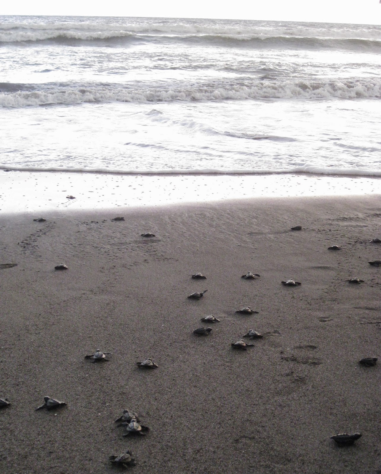 The Land of Eternal Spring: Peace Corps, Guatemala : Beach Weekend in ...