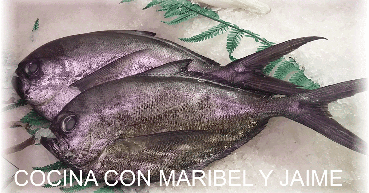 COCINA CON MARIBEL Y JAIME: PALOMETA O JAPUTA EN SALSA VERDE
