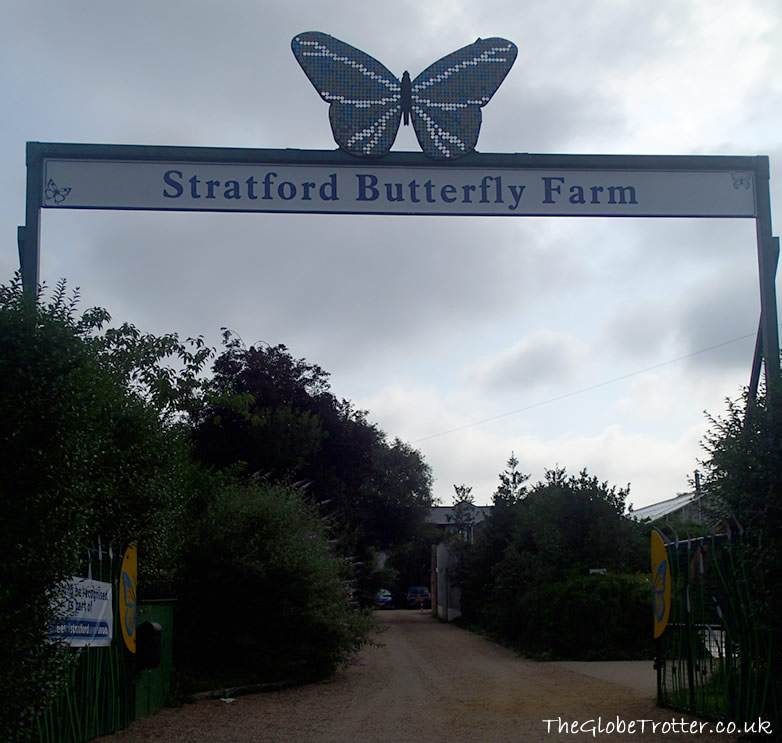 Stratford-upon-Avon Butterfly Farm - The Globe Trotter